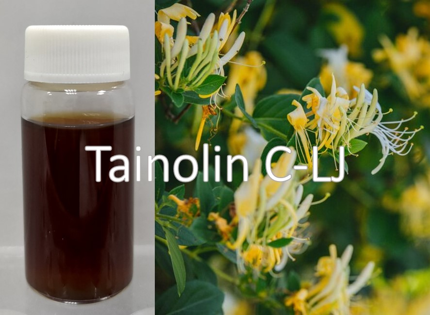 Lonicera Japonica(Honeysuckle) Flower Extract - TNJC-Taiwan NJC corporation